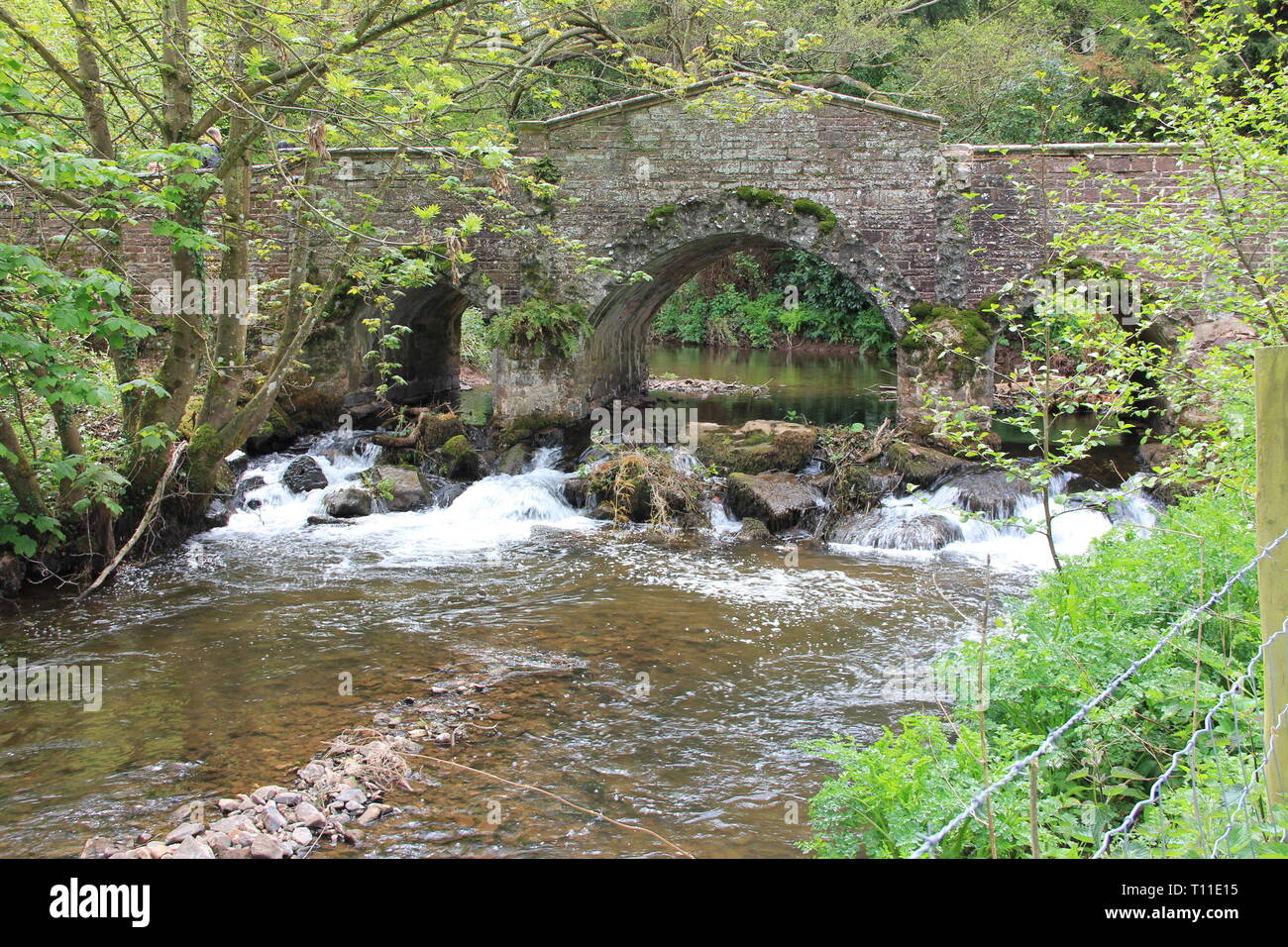 Dunster Castle. Dunster in Somerset. England Stock Photo - Alamy