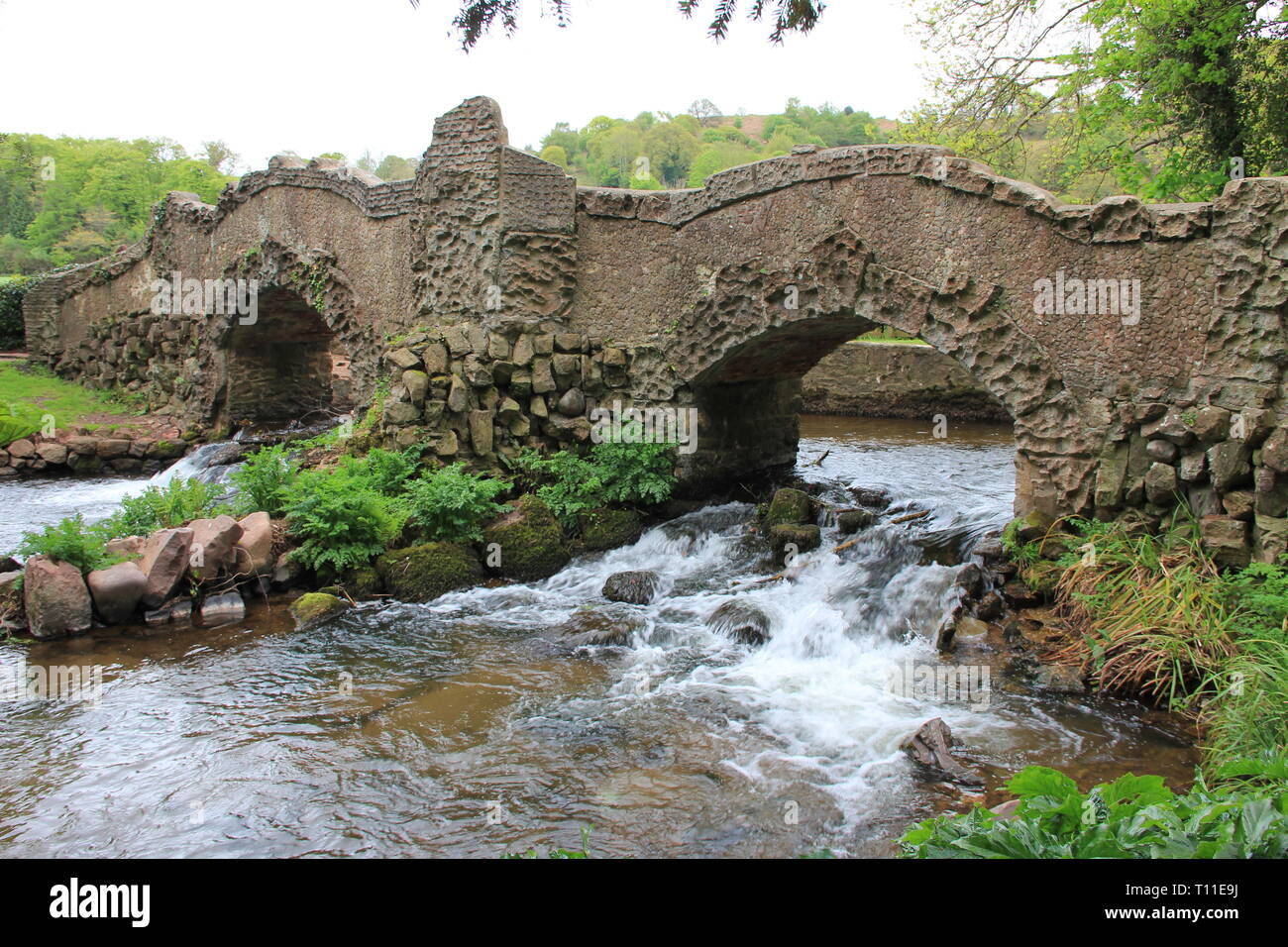 Dunster Castle. Dunster in Somerset. England Stock Photo - Alamy