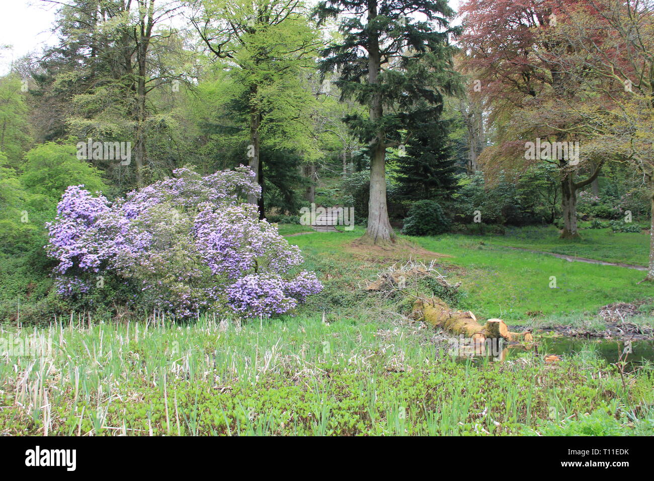 Palladian mansion stourhead hi-res stock photography and images - Alamy