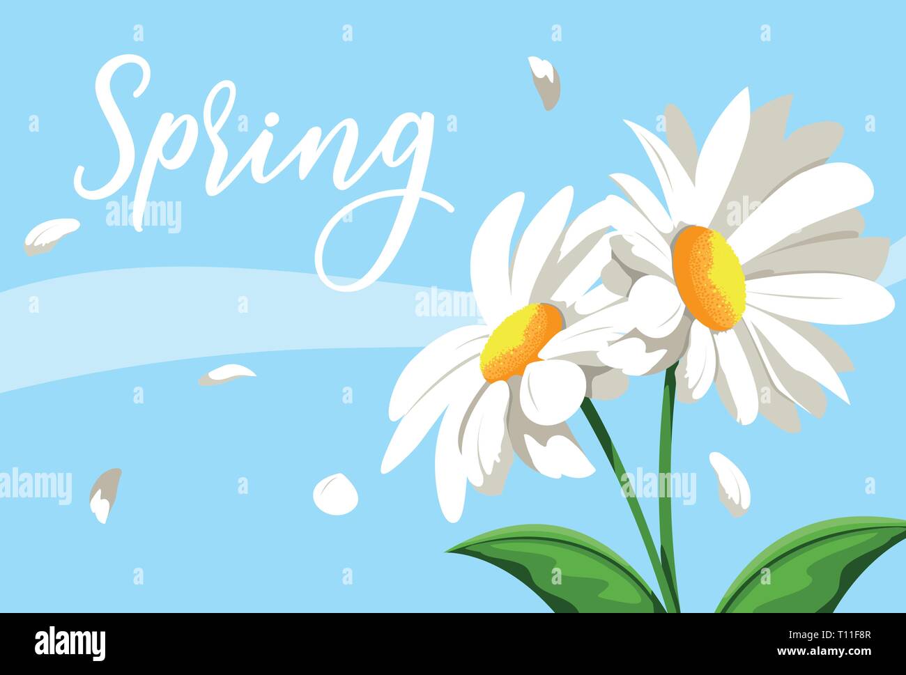 beautiful spring flowers scene nature vector illustration design Stock ...