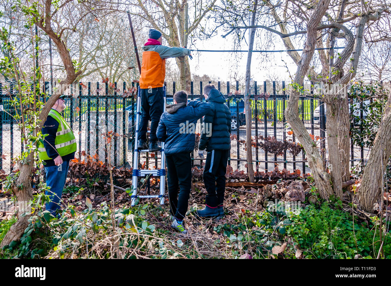Miers Close Preserve, Newham Conservation Volunteers and local scouts ...