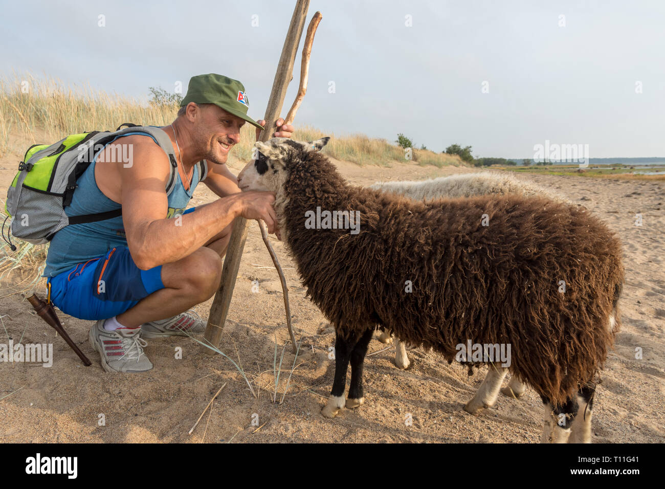 Man and a sheep Stock Photo - Alamy