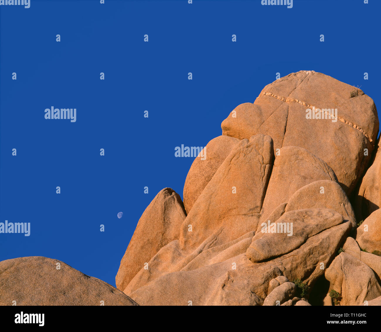 Monzonite granite hi-res stock photography and images - Alamy