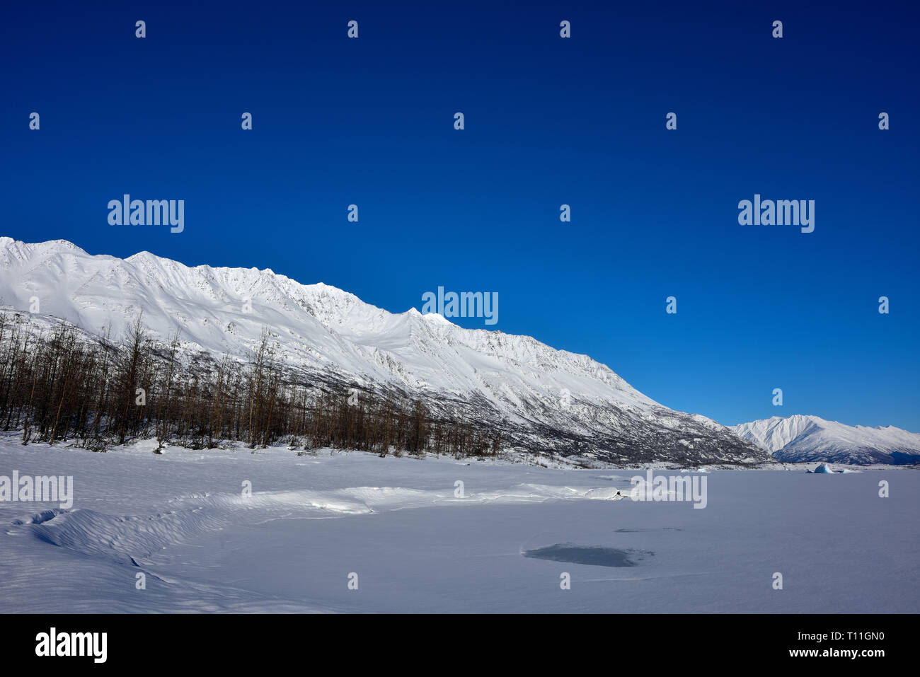 White mountain alaska hi-res stock photography and images - Alamy
