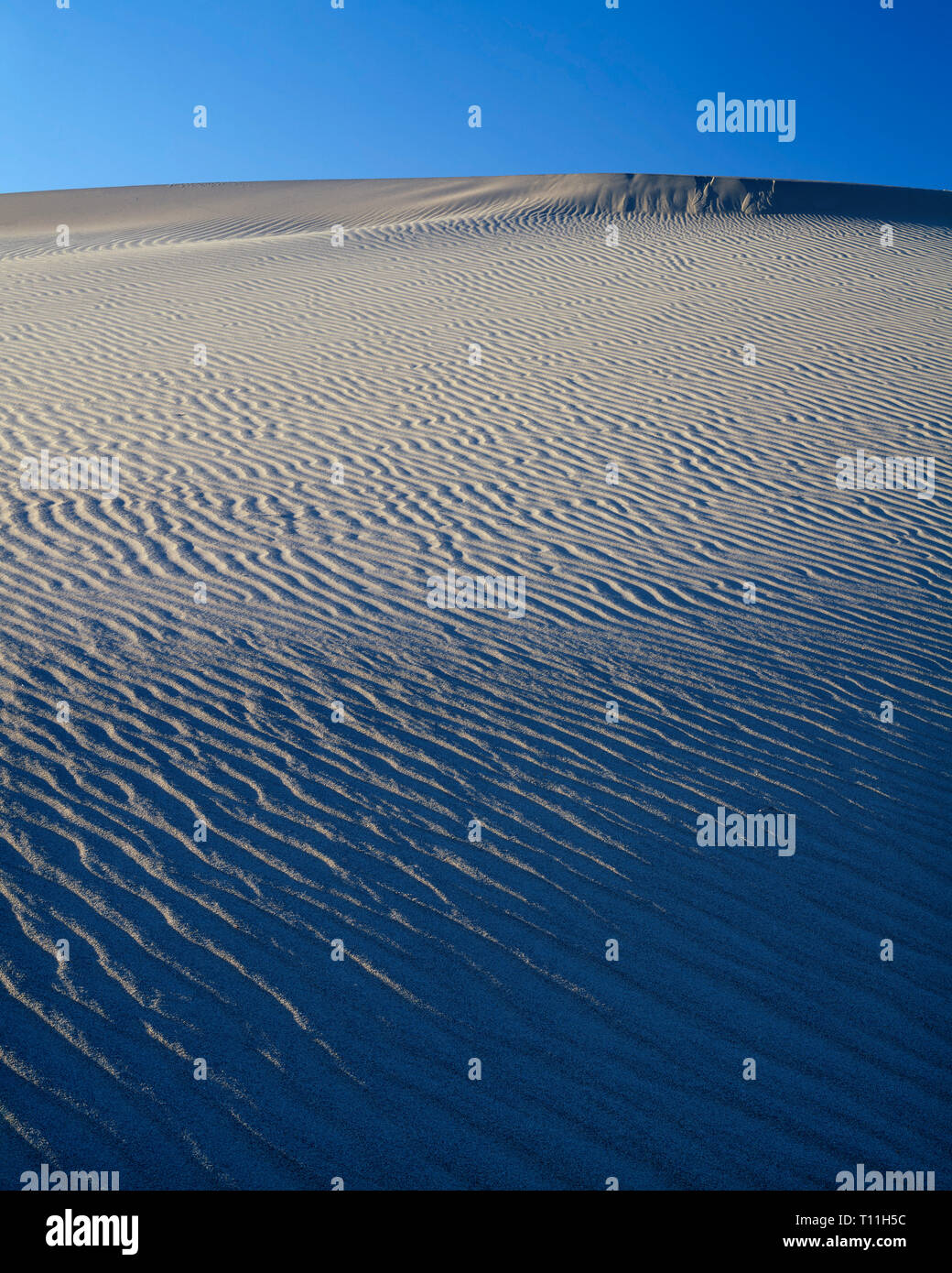 Patterns in sand dunes hi-res stock photography and images - Alamy