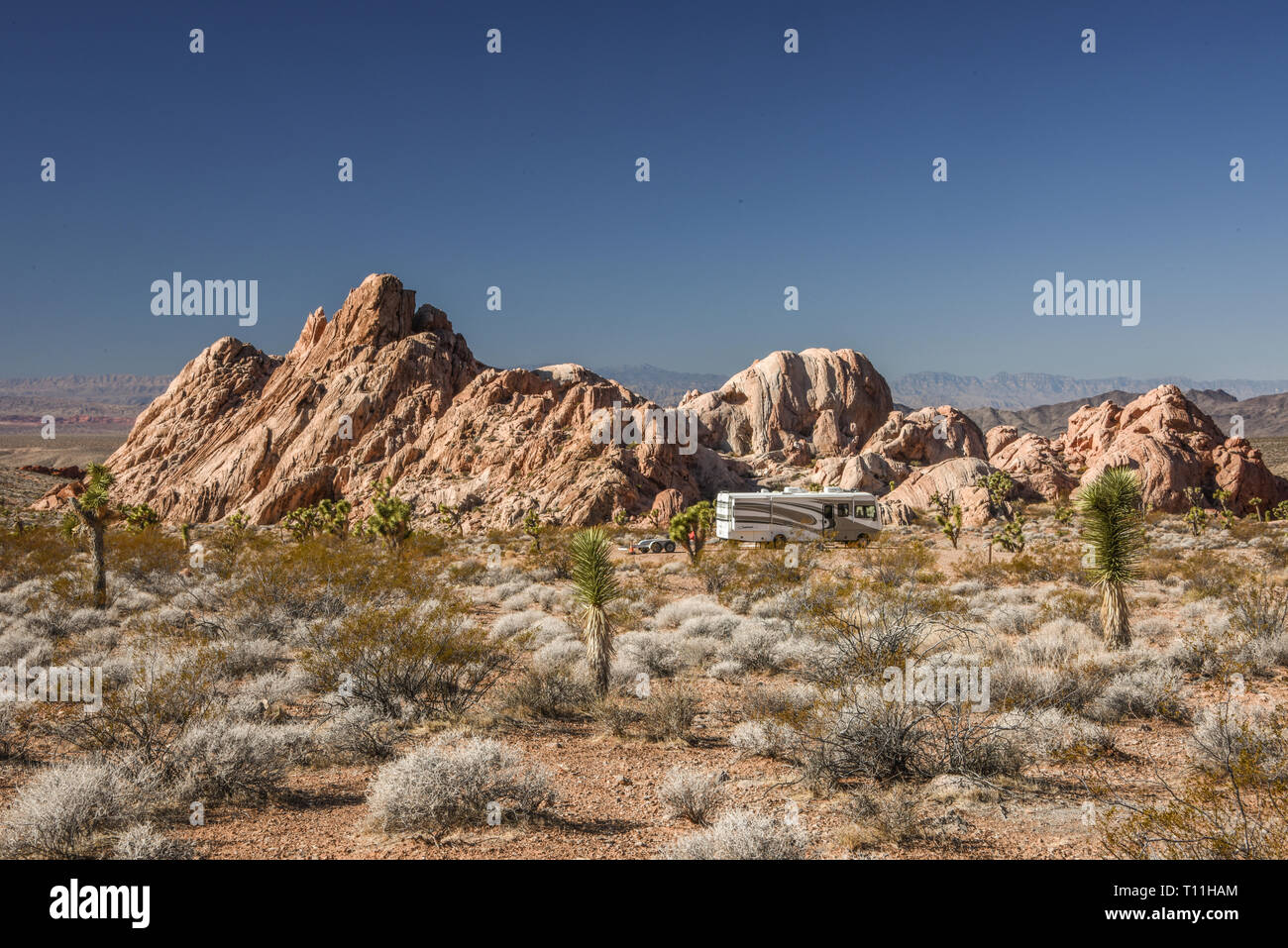 Gold Butte National Monument, Bunkerville, Nevada, USA, North America ...