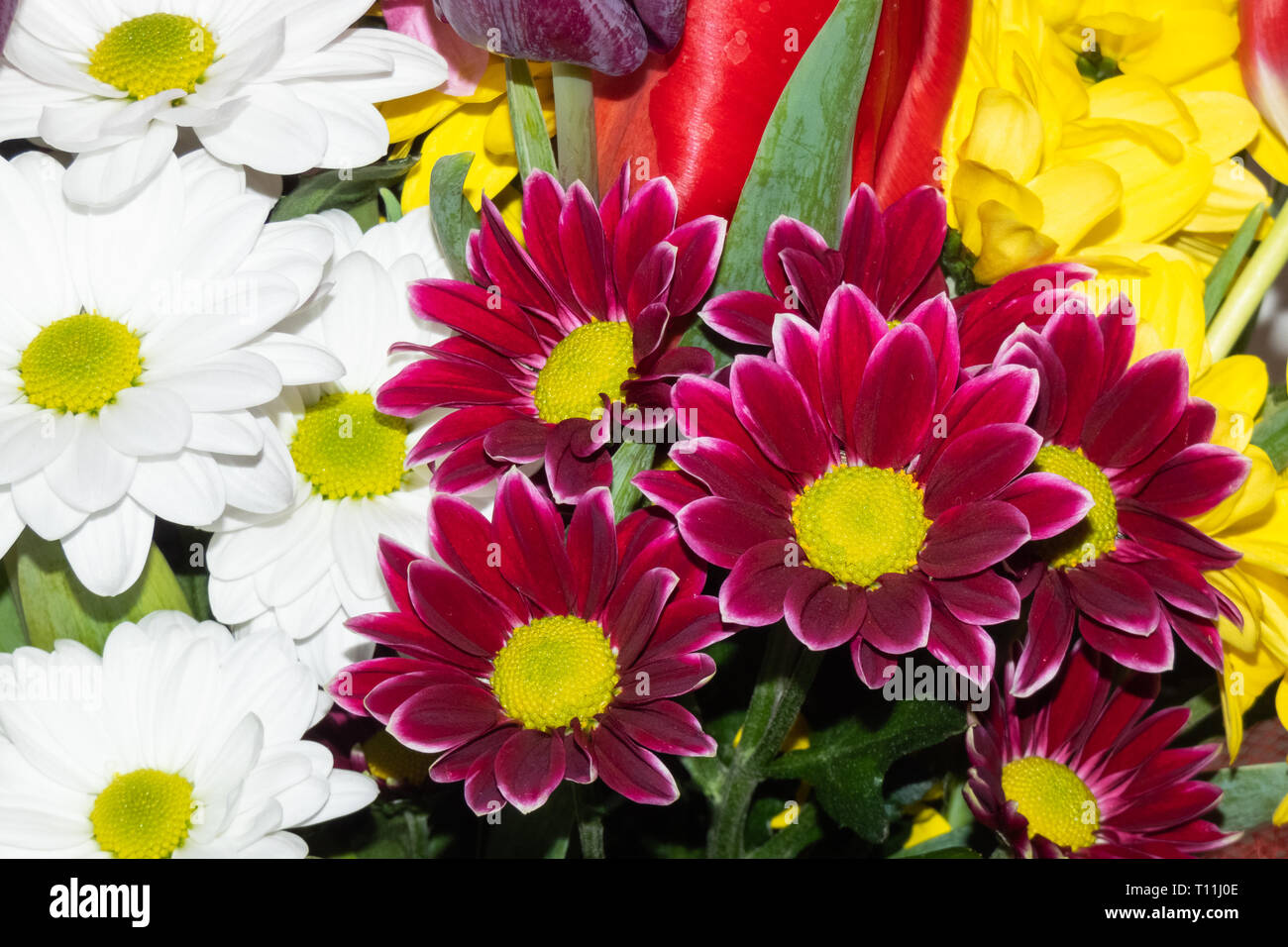 Bunch of flowers spring colours hi-res stock photography and images - Alamy