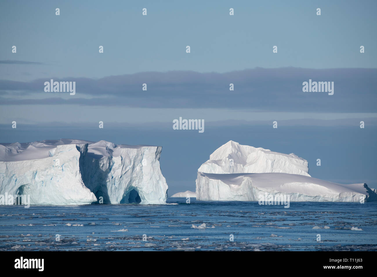 Sea of bellingshausen hi-res stock photography and images - Alamy