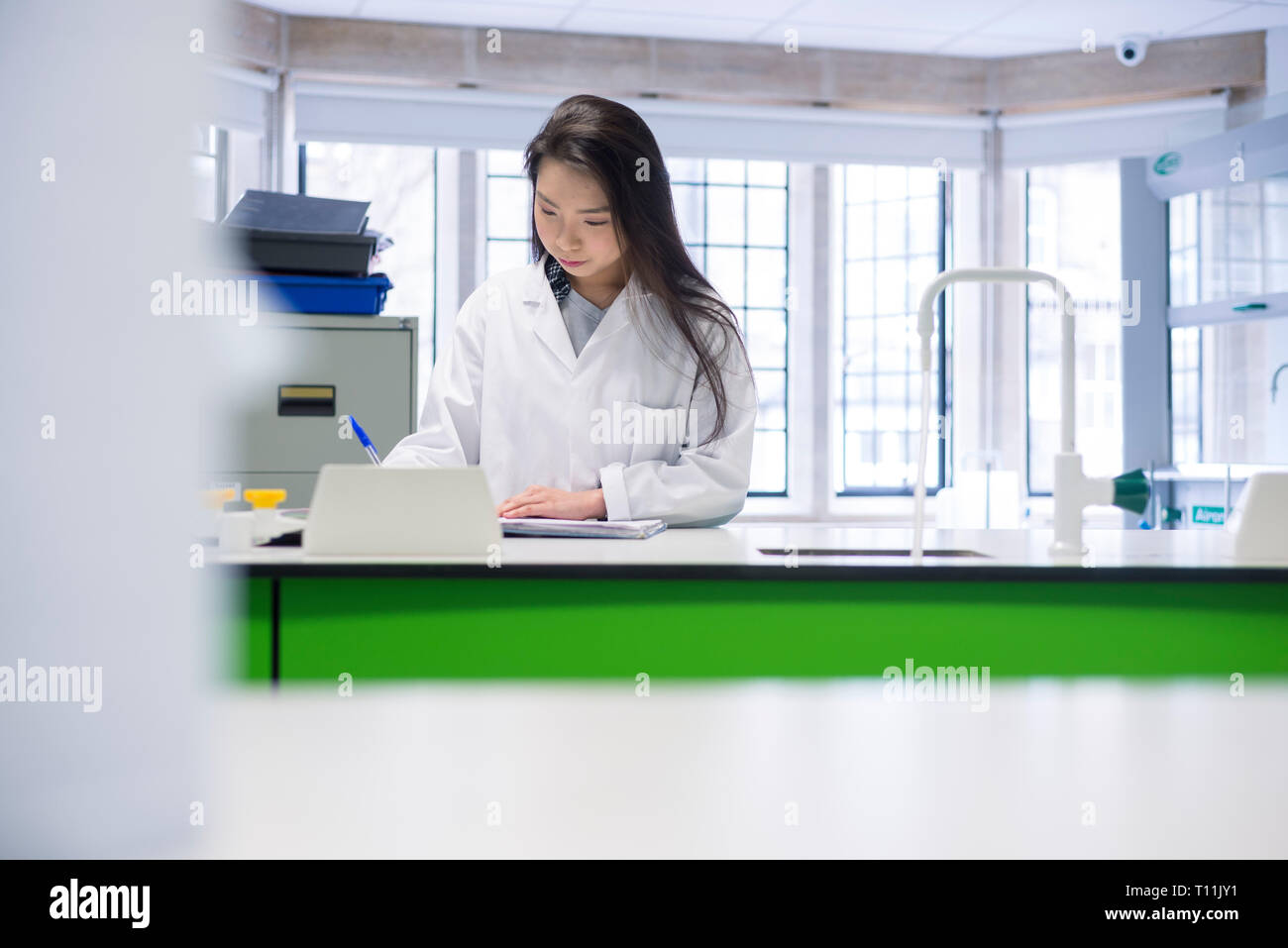 A young South East Asian student works during a lesson and carries out ...