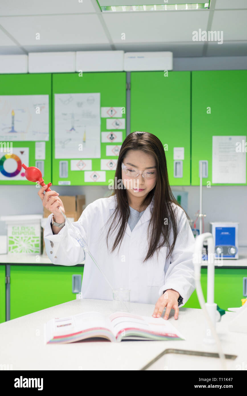 A young South East Asian student works during a lesson and carries out ...