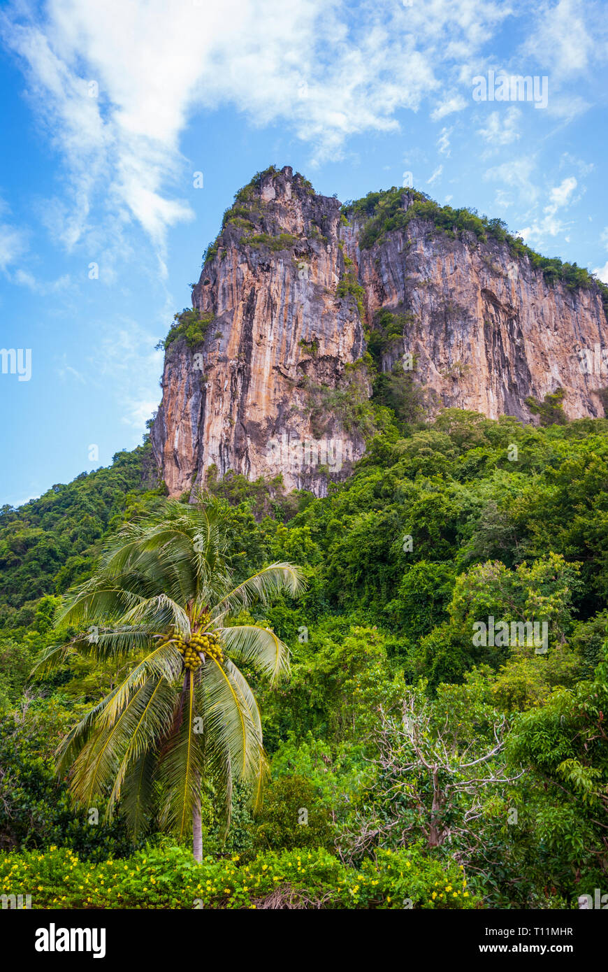 Famous phatthalung rock hi-res stock photography and images - Alamy