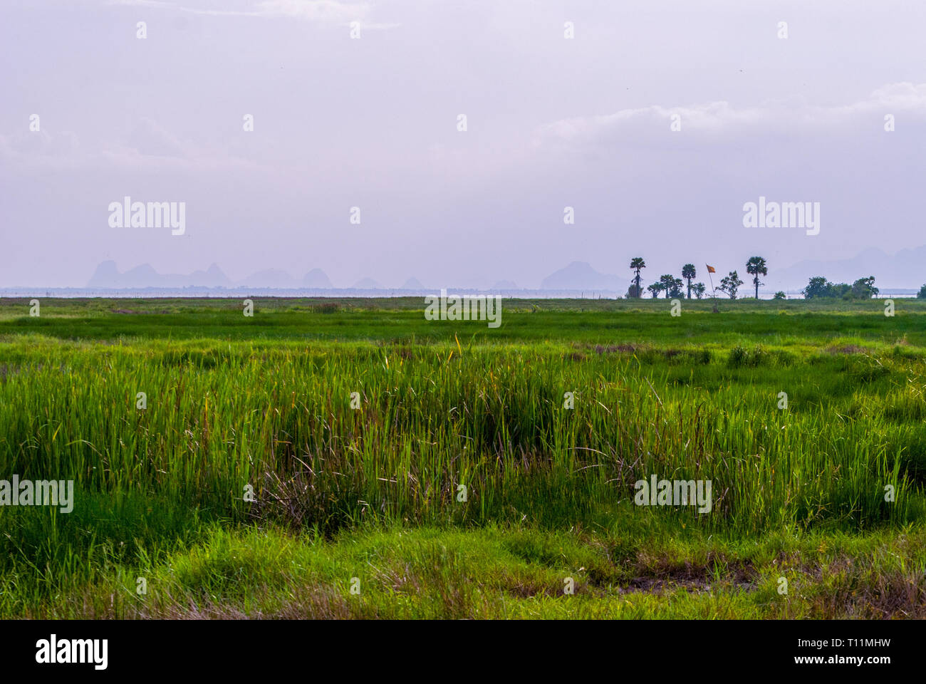 Songkhla lake scenery, Thailand Stock Photo - Alamy