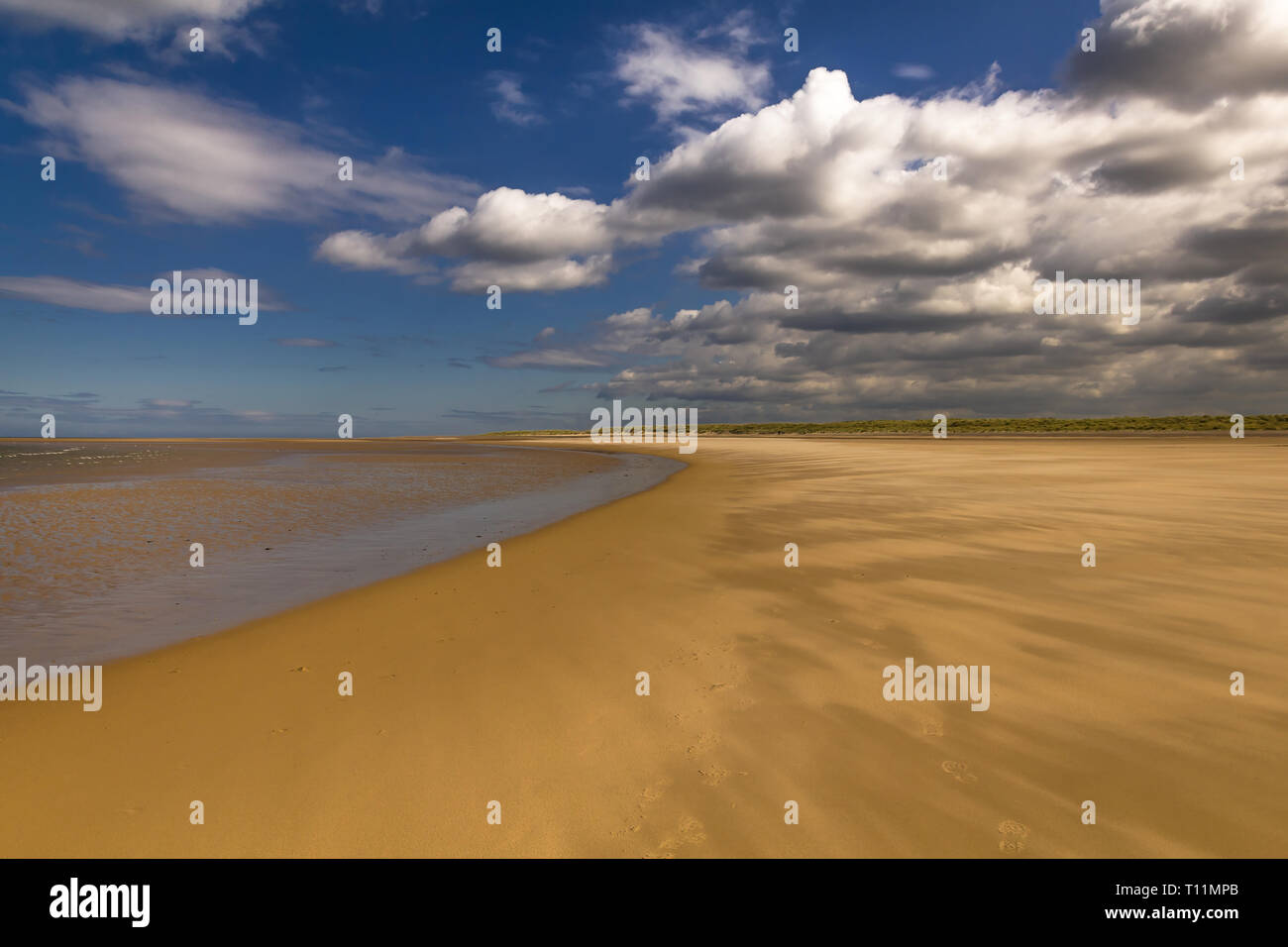 Beautiful day on Blakeney Spit in Norfolk, England Stock Photo - Alamy