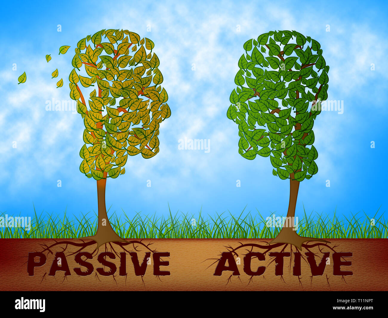 Active Versus Passive Heads Represent Proactive Strategy Or Lazy ...