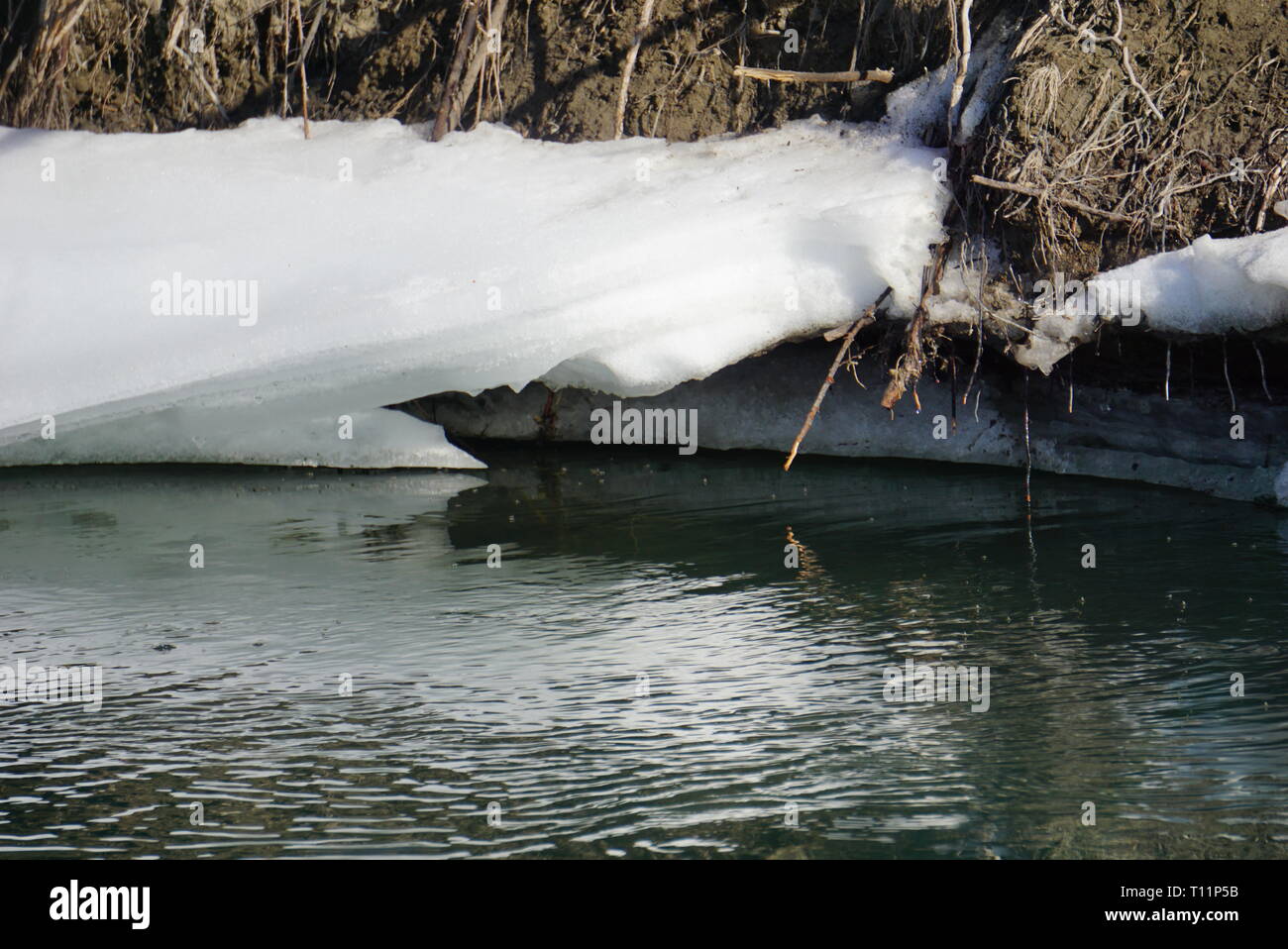 Calgary seasons river hi-res stock photography and images - Alamy