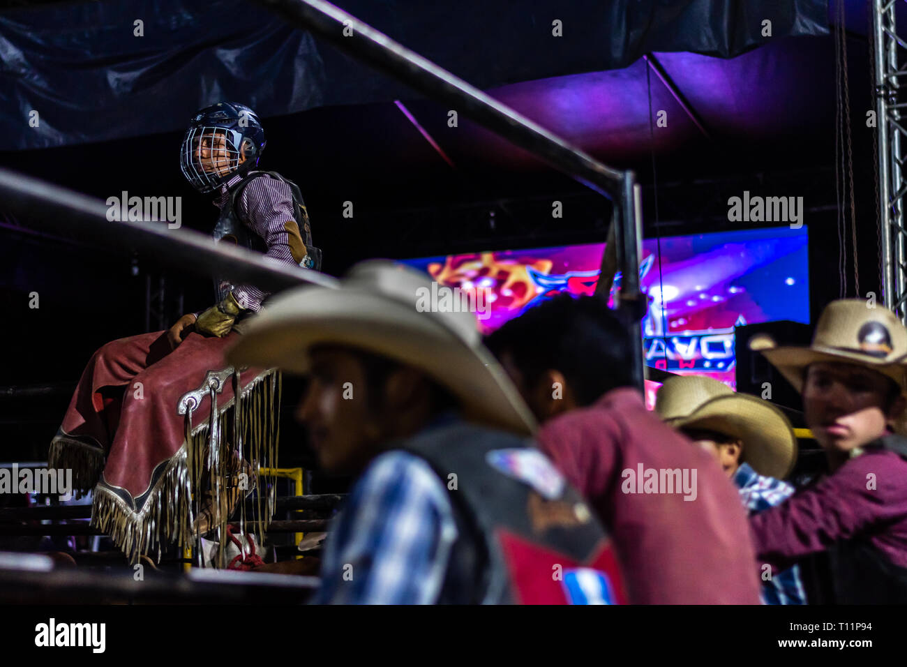 latin bull riders before riding in Guatemalan rodeo Stock Photo - Alamy