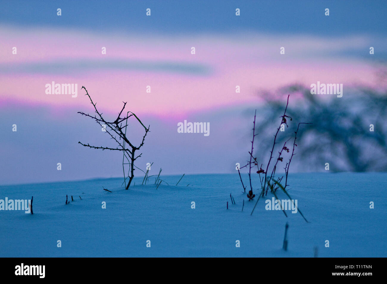 Outdoor sundowner hi-res stock photography and images - Alamy