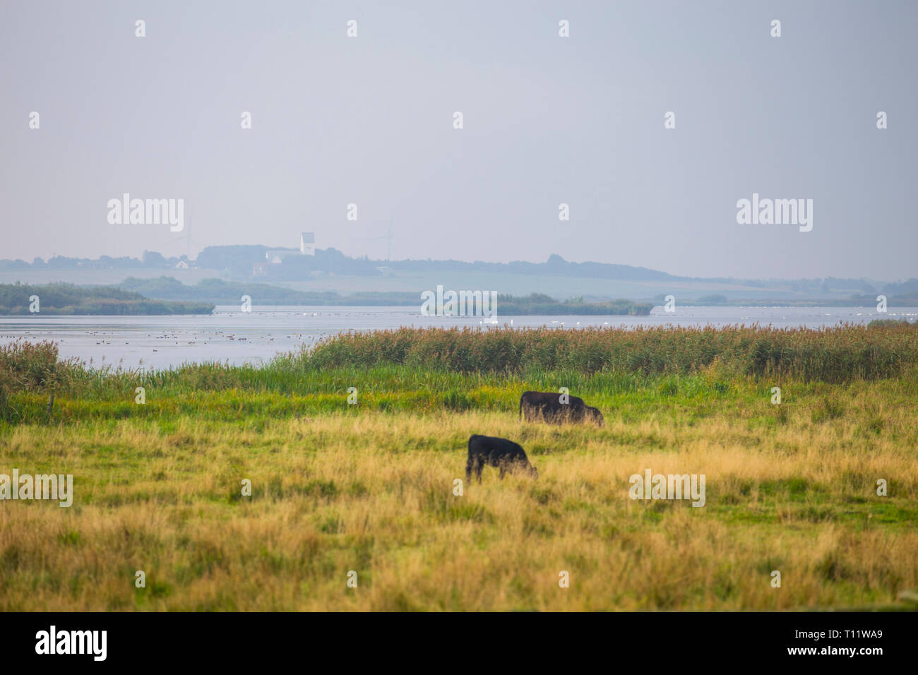 A green meadow locked with a red barrier and prohibition sign Stock ...