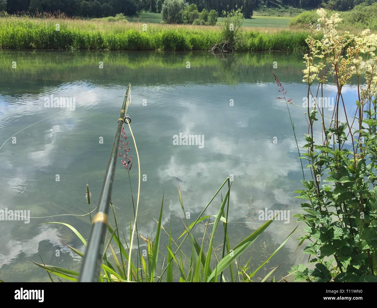fishing with a flyrod on the river blau near ulm at the blautopf Stock ...