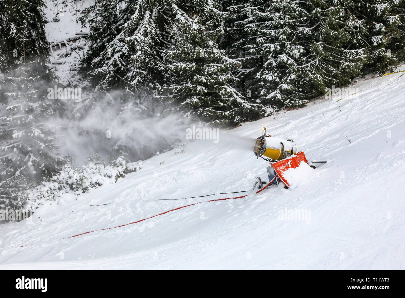 Snow making gun spraying fresh powder over ski piste, trees in ...