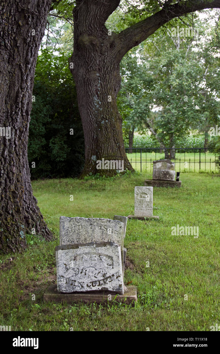 A few graves are all that remains of the 19th Century town of Dover ...