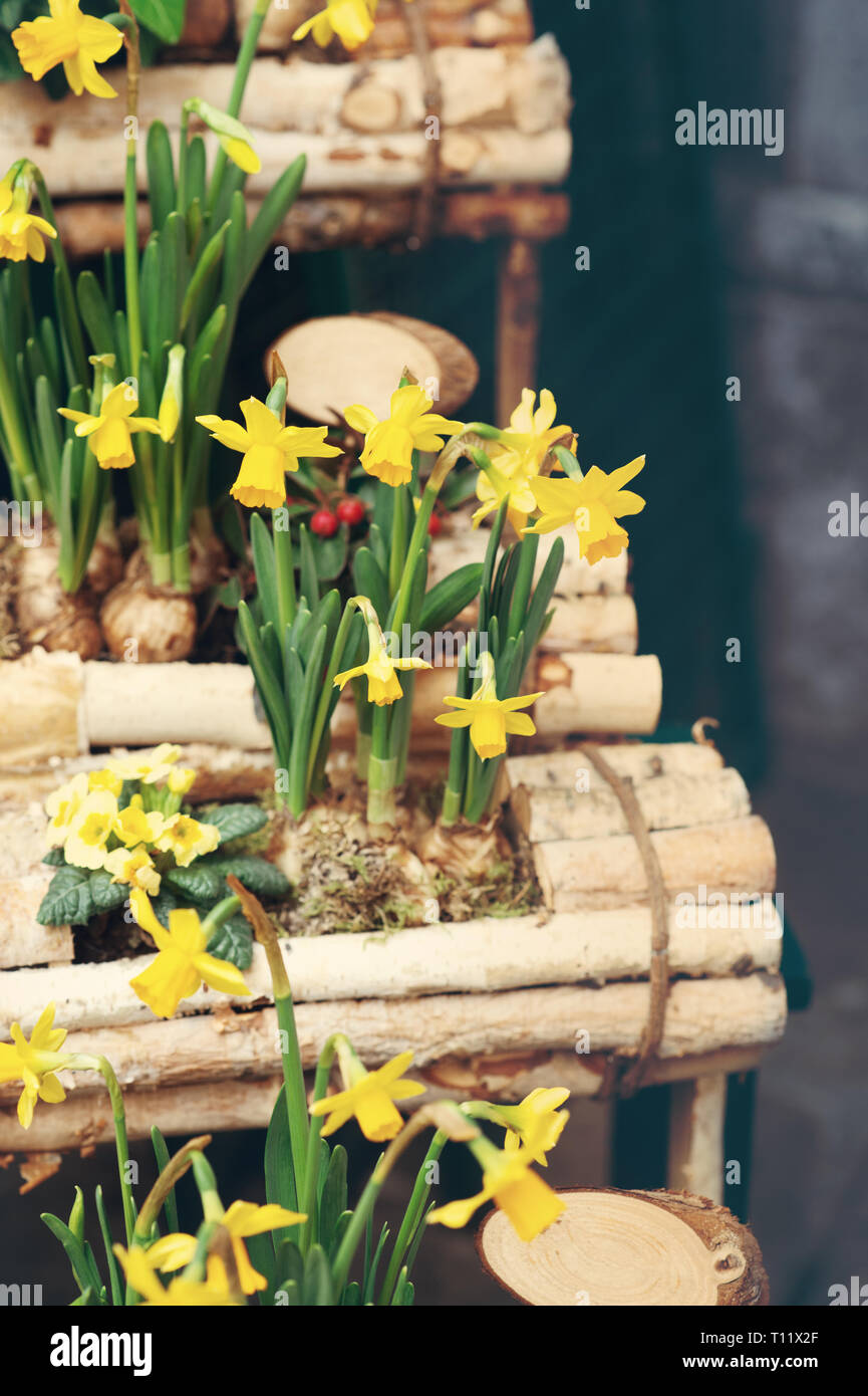 Easter background with fresh spring flowers Stock Photo - Alamy