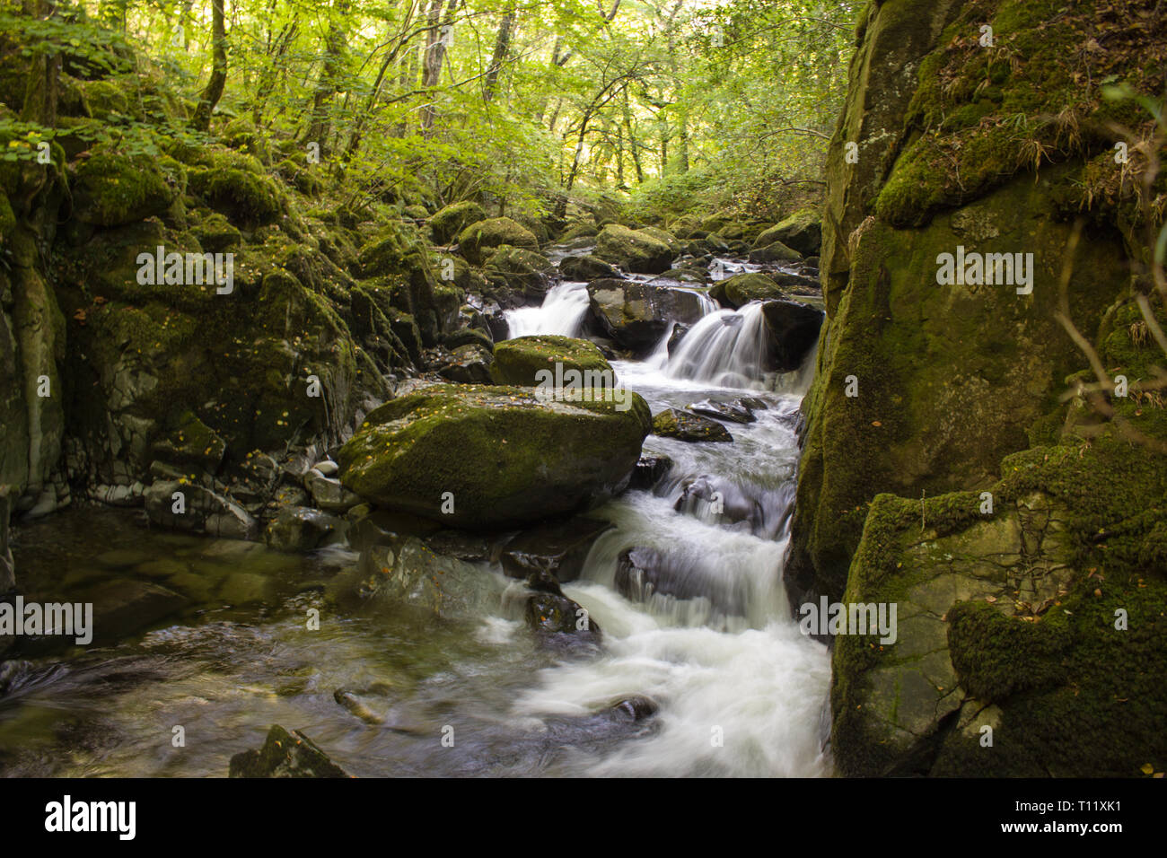 Welsh rivers hi-res stock photography and images - Alamy