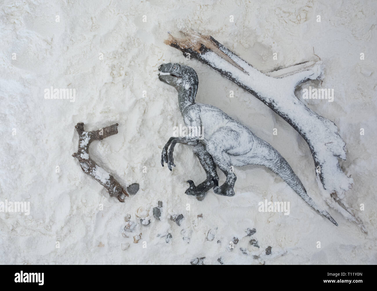 Utahraptor model hi-res stock photography and images - Alamy