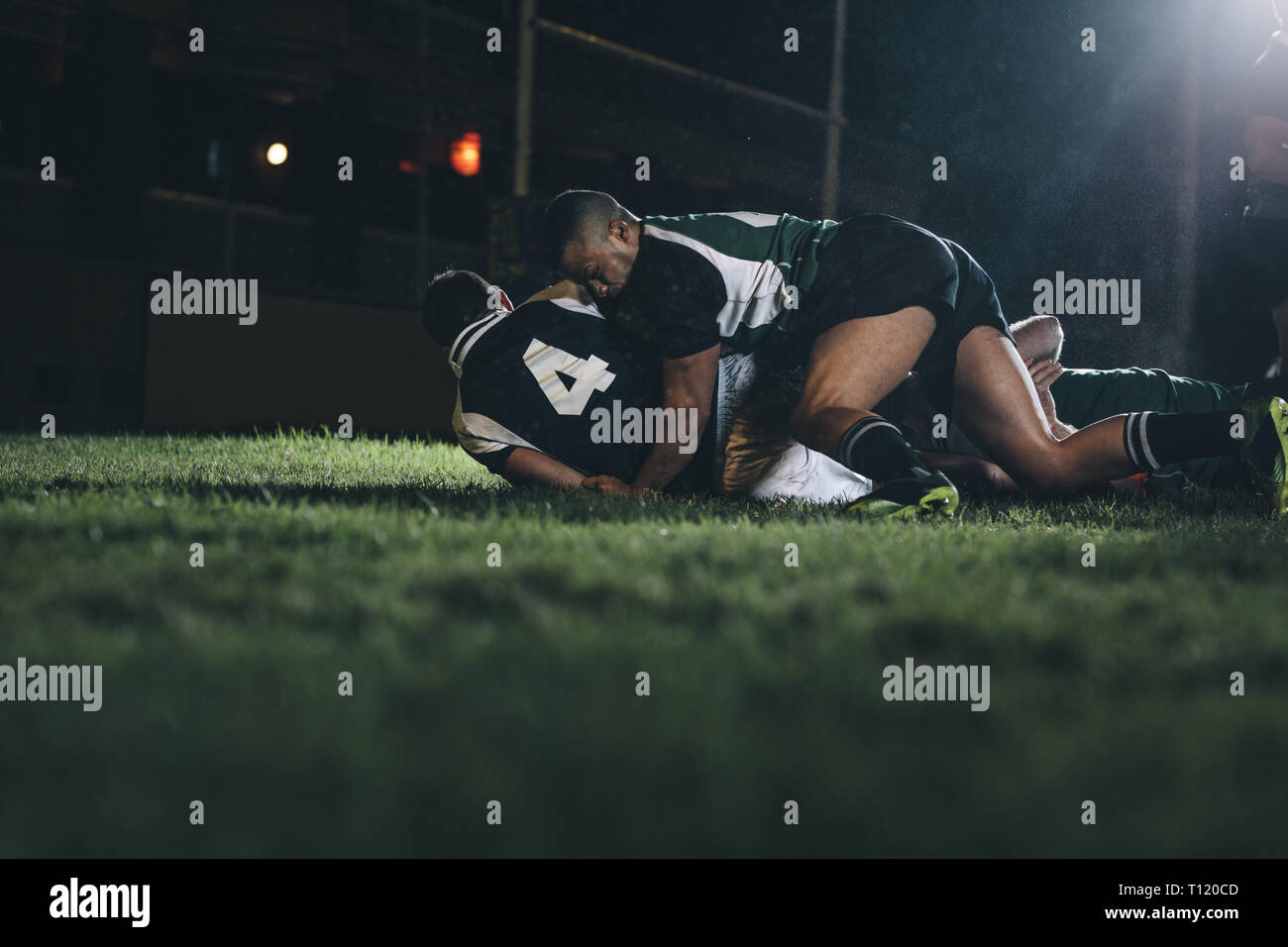 rugby players fight for the ball on professional rugby stadium ...