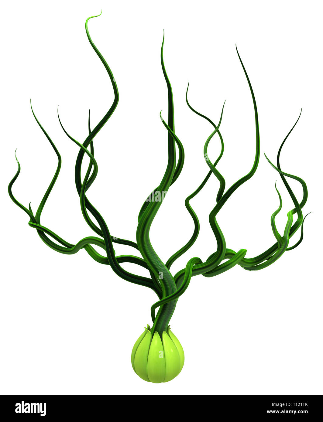 Plant vines green bud sprout growing out, 3d illustration, over white ...