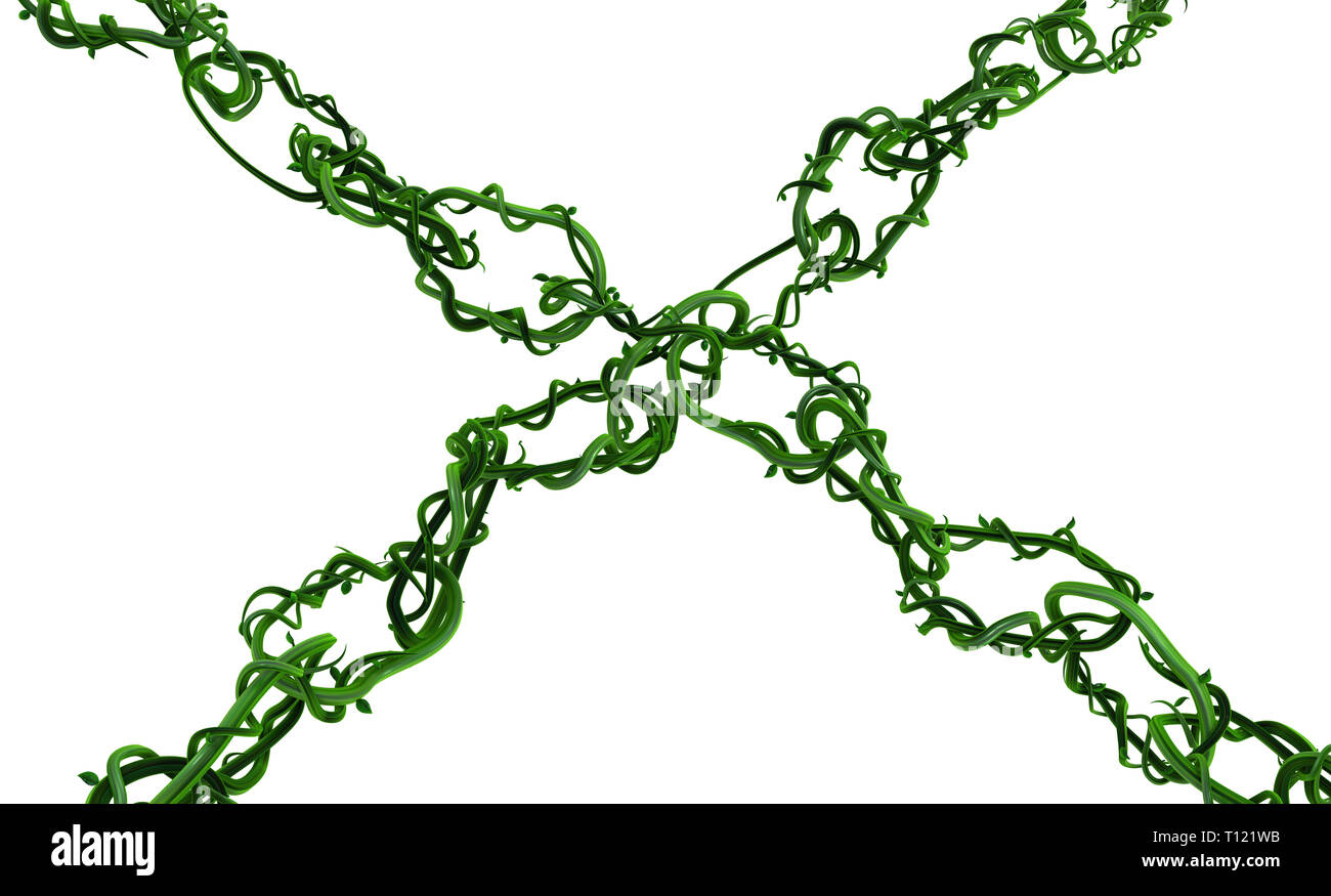 Plant vines green growing twisting chain links crossed, 3d illustration ...