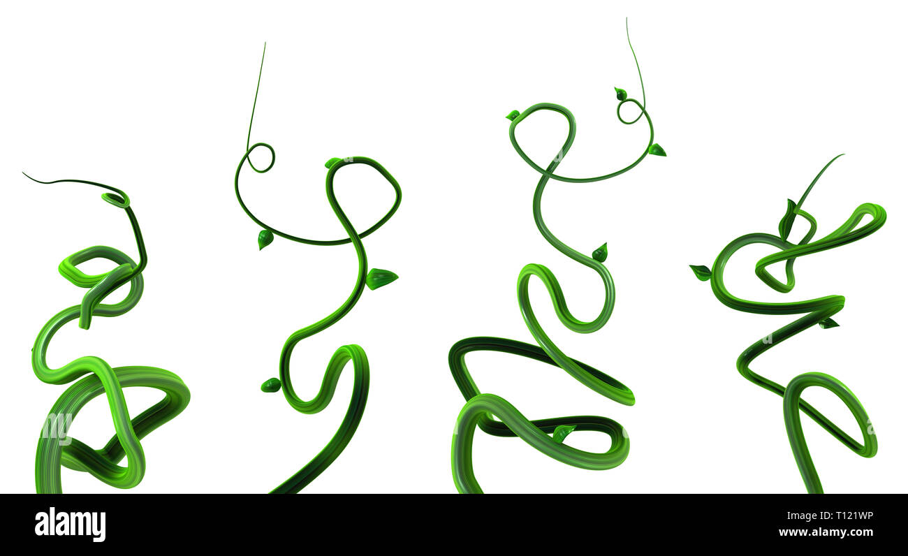 Plant vines green growing twisting four group, 3d illustration ...