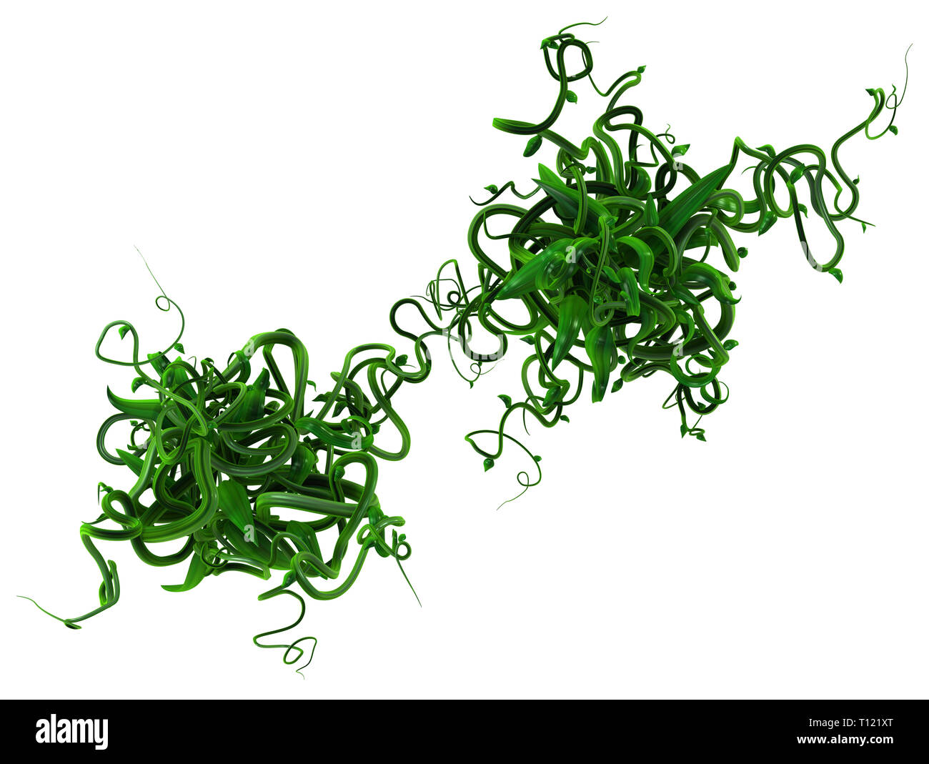 Plant vines green growing twisting leaves core bunches, 3d illustration ...
