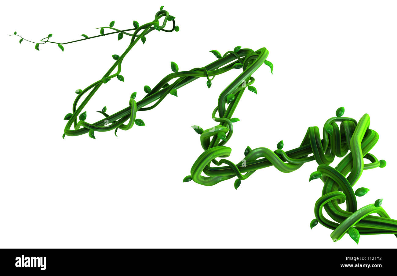 Abnormal plant growth Cut Out Stock Images & Pictures - Alamy