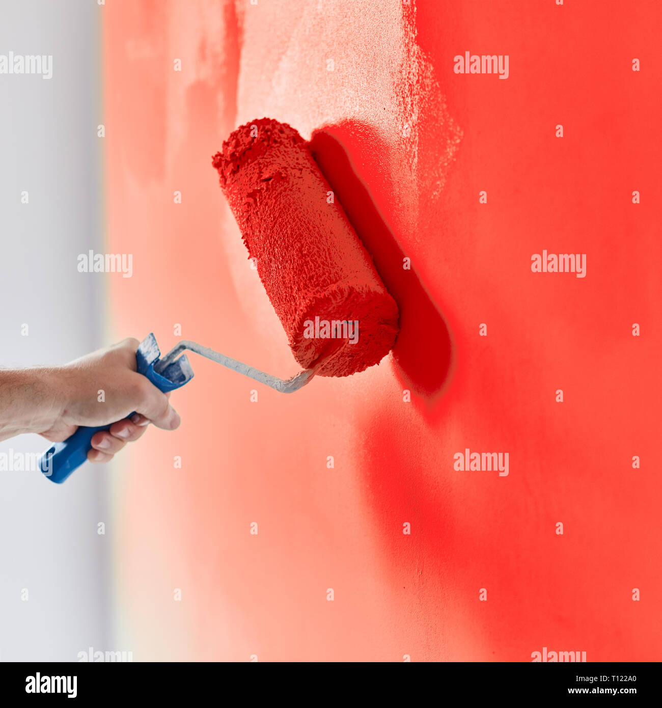 Male hand painting wall with paint roller. Painting apartment ...