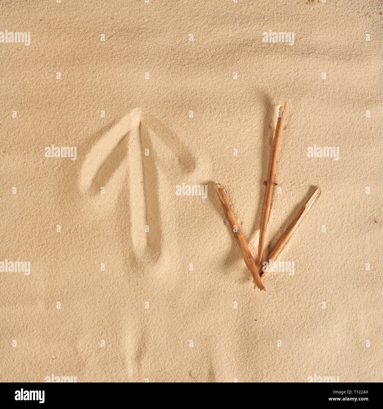 Arrow drawn on sand and arrow from twigs Stock Photo - Alamy