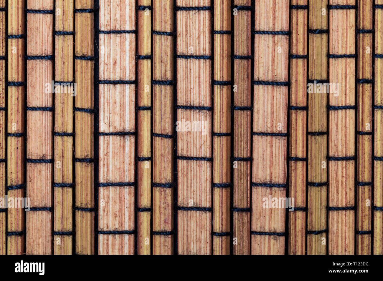 Dry bamboo texture in the form of small rectangles (collection of ...