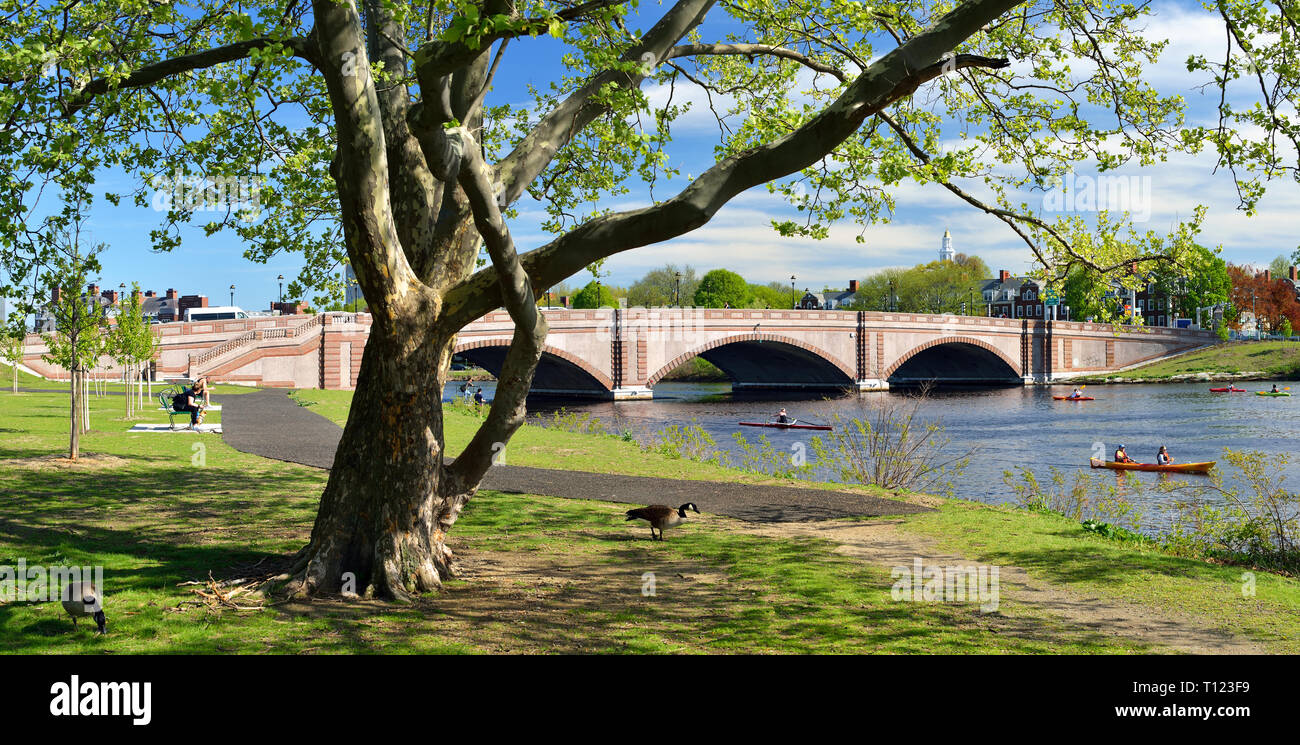 Panoramic view of Anderson Bridge in Cambridge, Massachusetts. Canoes ...