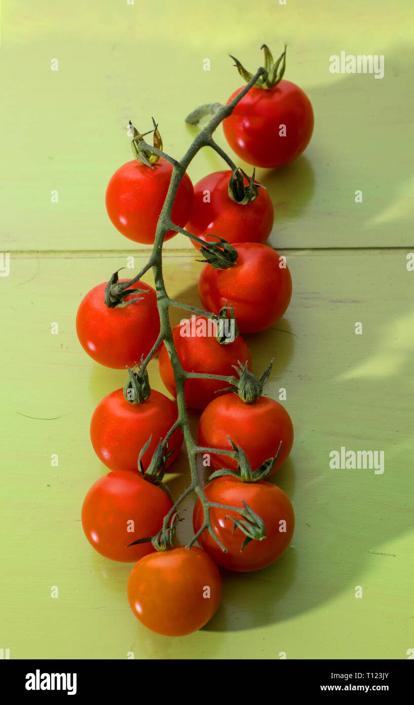 cherry tomato with white background and close-up photograph Stock Photo ...