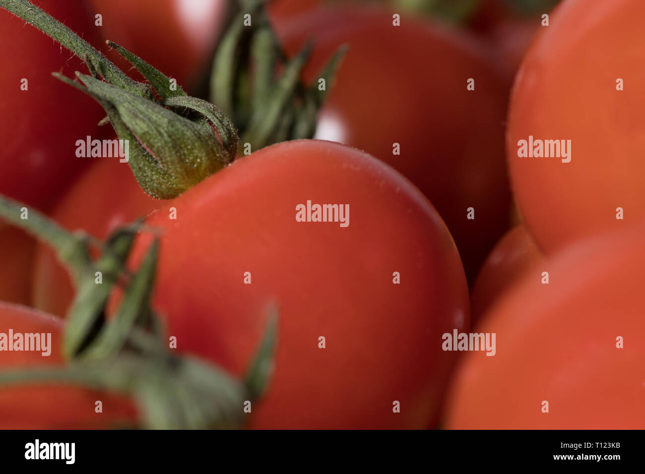 cherry tomato with white background and close-up photograph Stock Photo ...