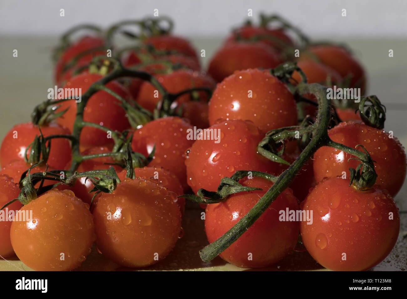 cherry tomato with white background and close-up photograph Stock Photo ...