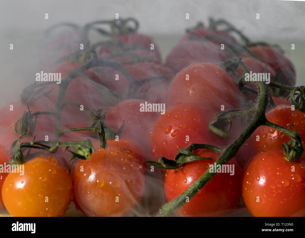 cherry tomato with white background and close-up photograph Stock Photo ...