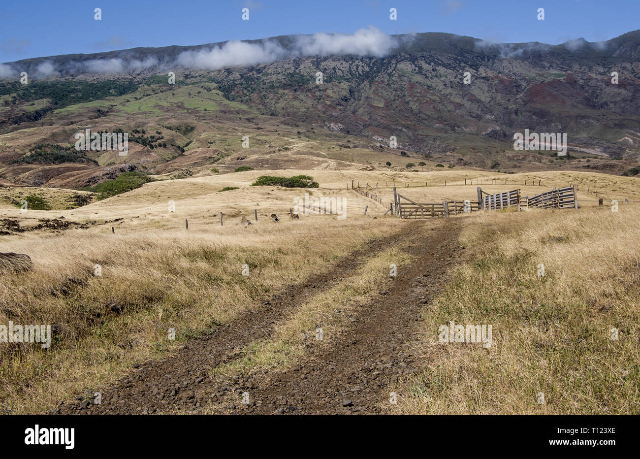 Maui Ranch: A gravel road passes through windswept grassland to a ...
