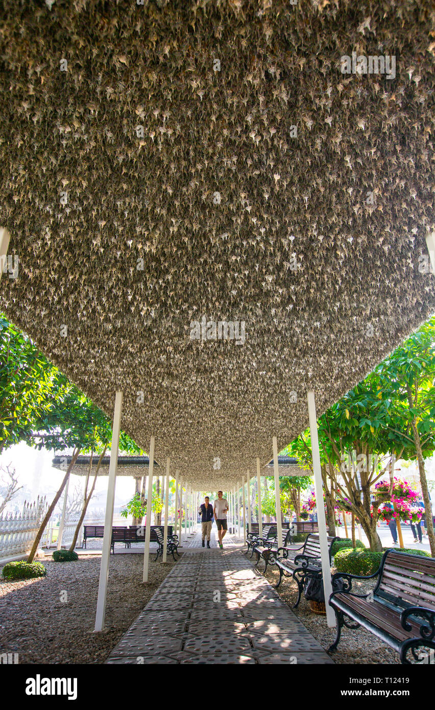 Canopy of prayer plates at the White Temple / Wat Rong Khun in Chiang ...