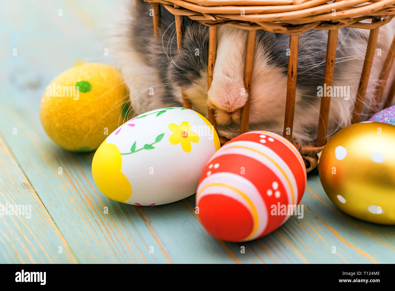 Cute fluffy rabbit and painted eggs, easter concept Stock Photo - Alamy