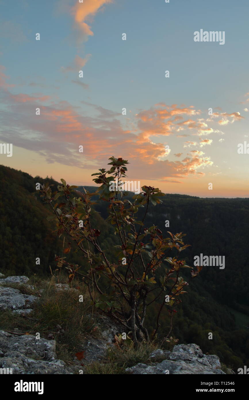 Golden sunlight on clouds hi-res stock photography and images - Alamy