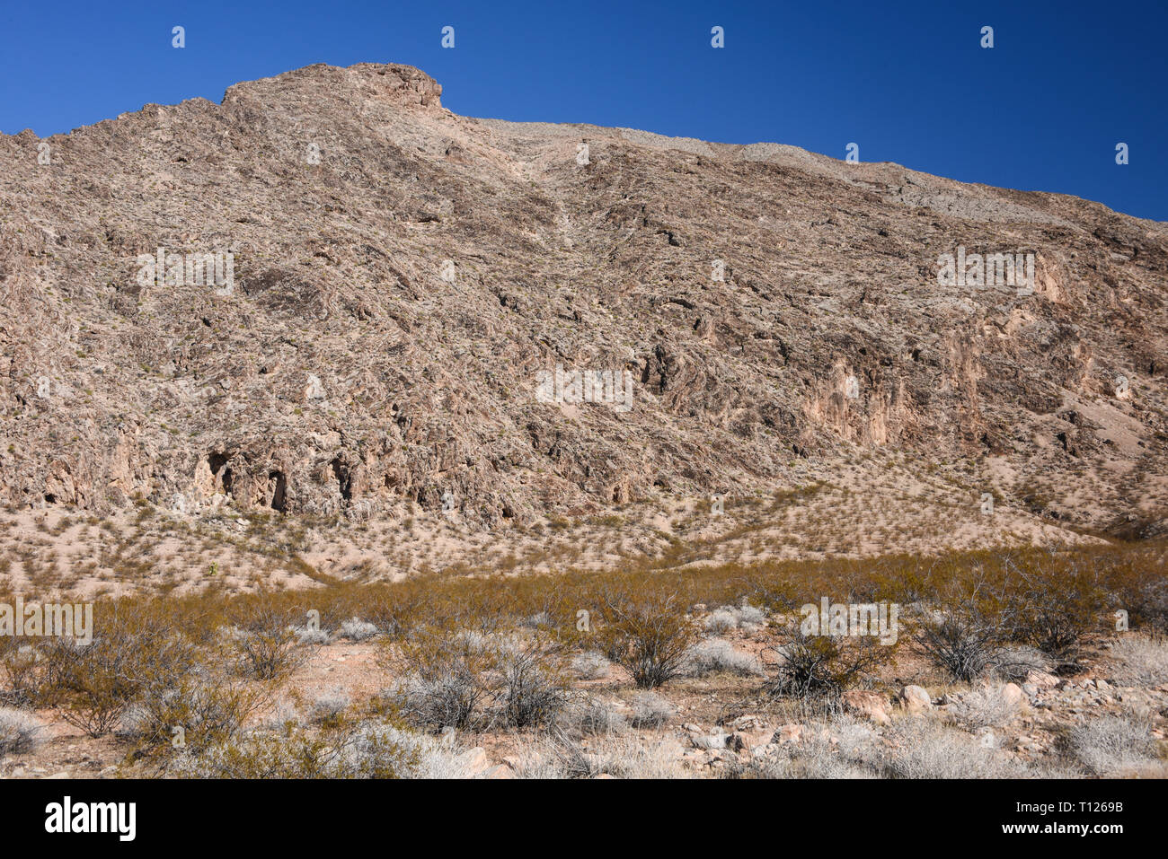 Gold Butte National Monument, Bunkerville, Nevada, USA Stock Photo - Alamy