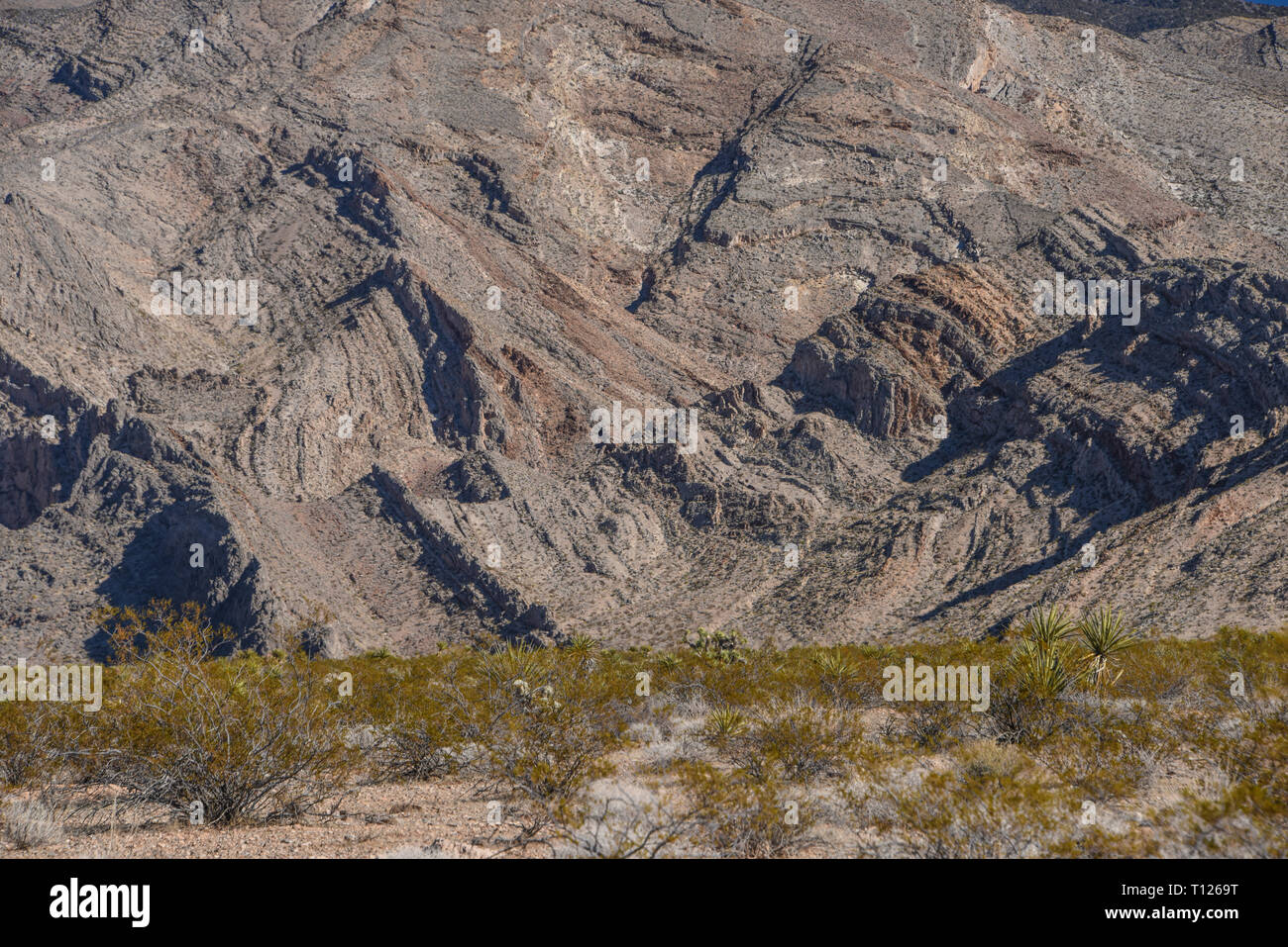 Gold Butte National Monument, Bunkerville, Nevada, USA Stock Photo - Alamy