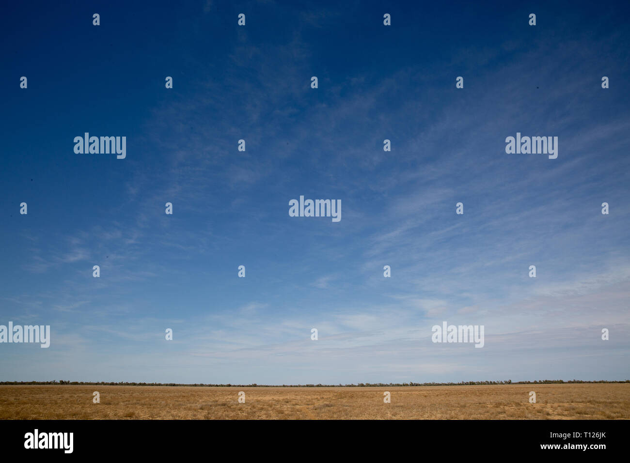 Flat grassland landscape near Winton, Western Queensland, Australia ...