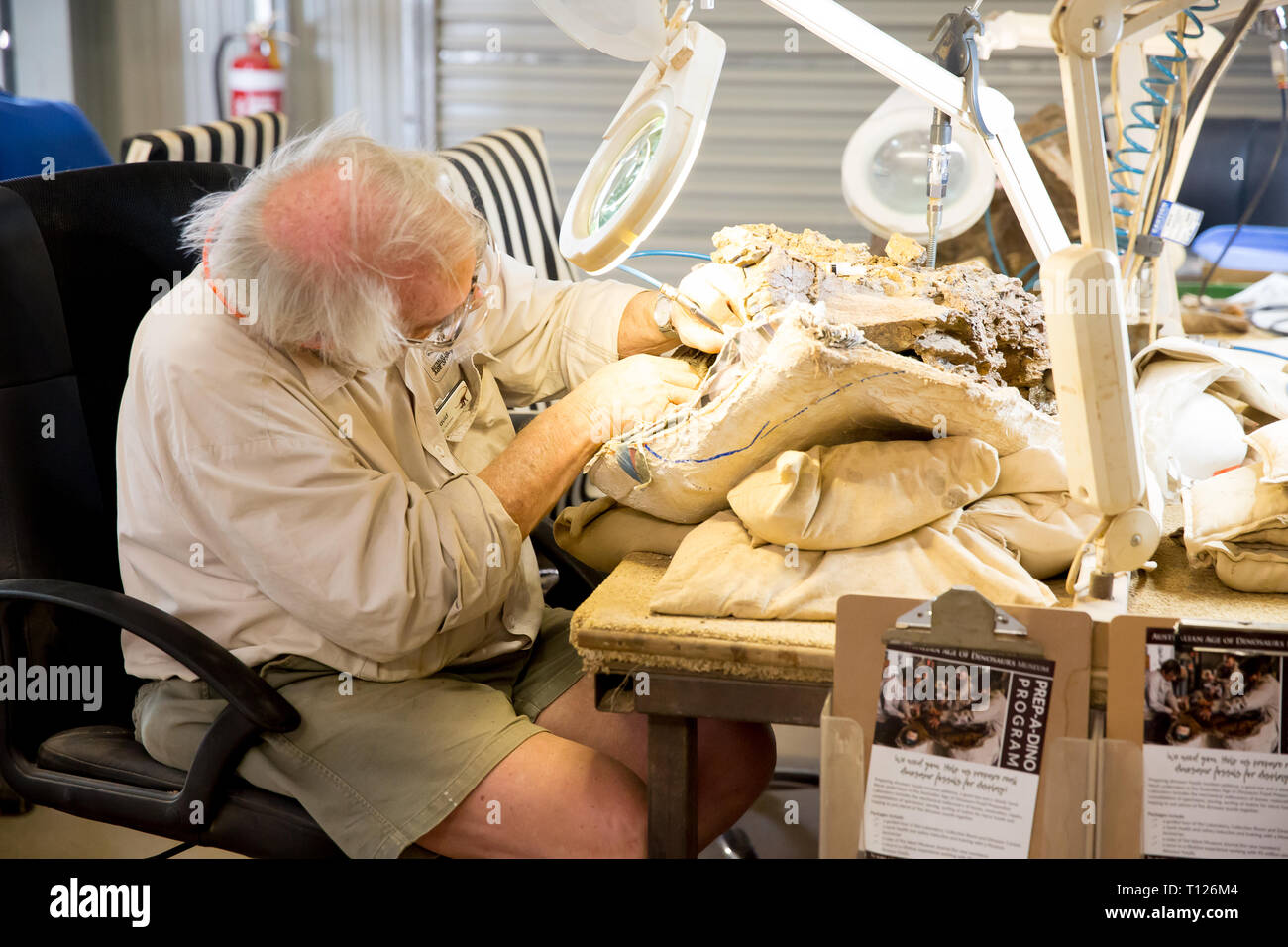 Volunteers extract the bones from rock at the dinosaur bone preparation ...